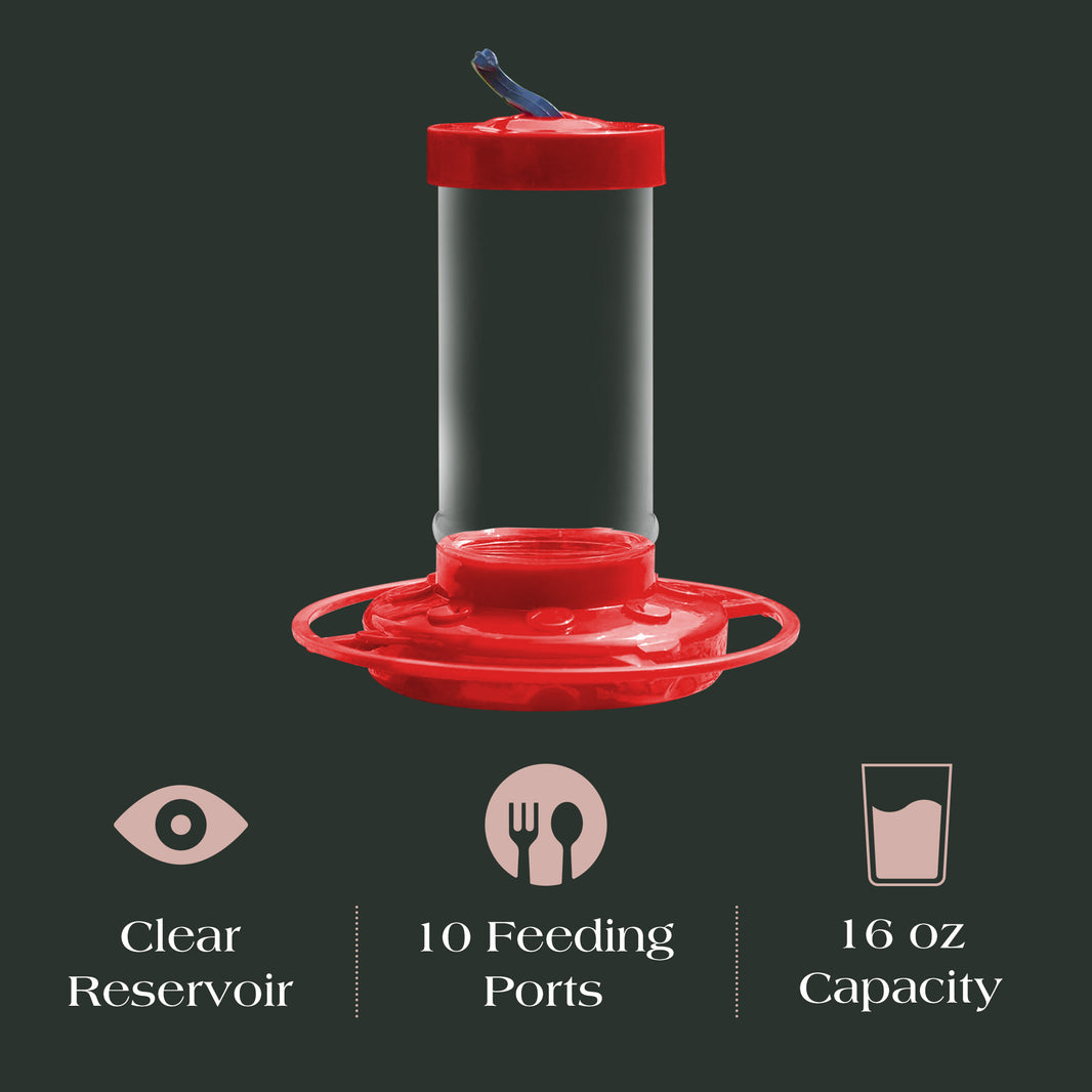 Hummingbird Momma's Premium Organic Hummingbird Food