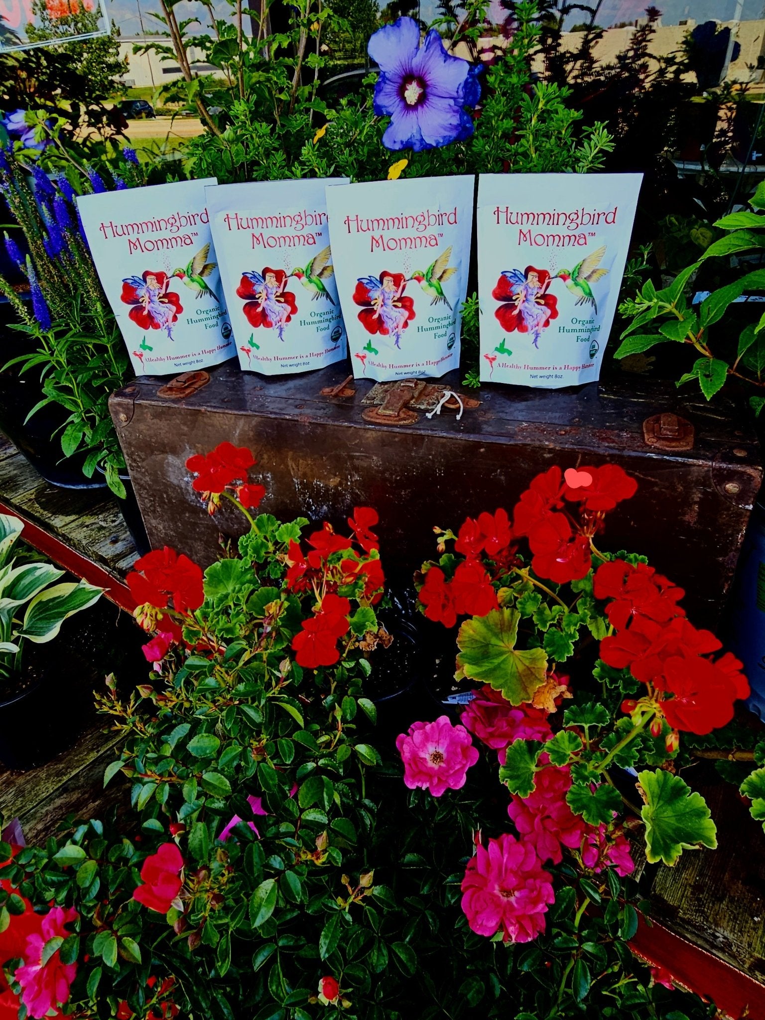 Hummingbird Momma's Premium Organic Hummingbird Food