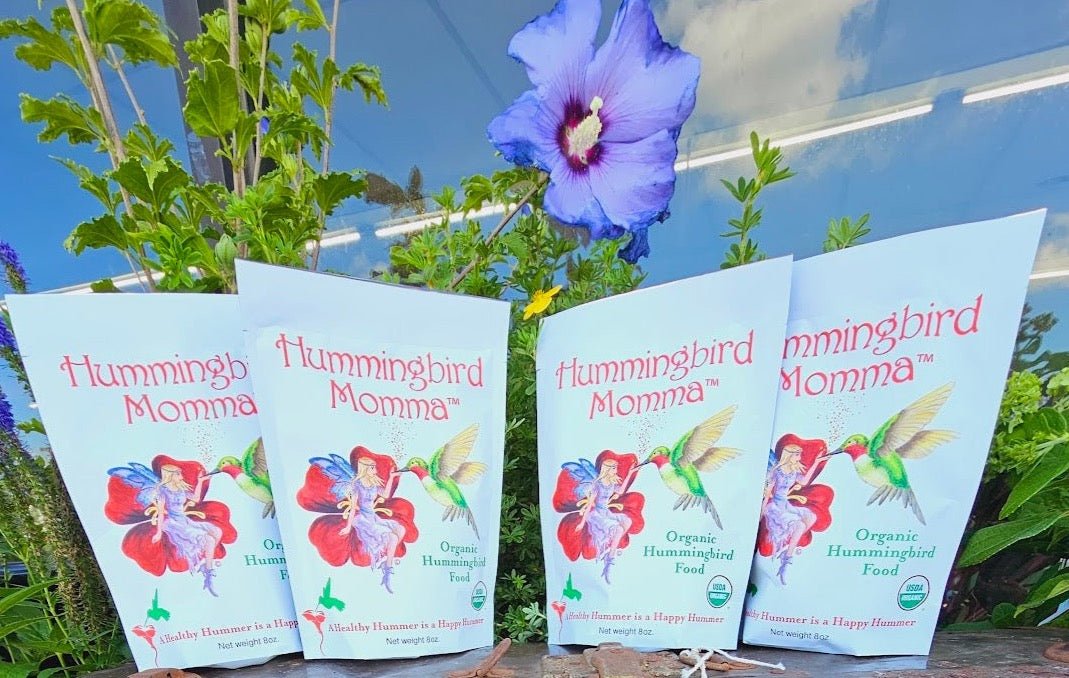 Hummingbird Momma's Premium Organic Hummingbird Food