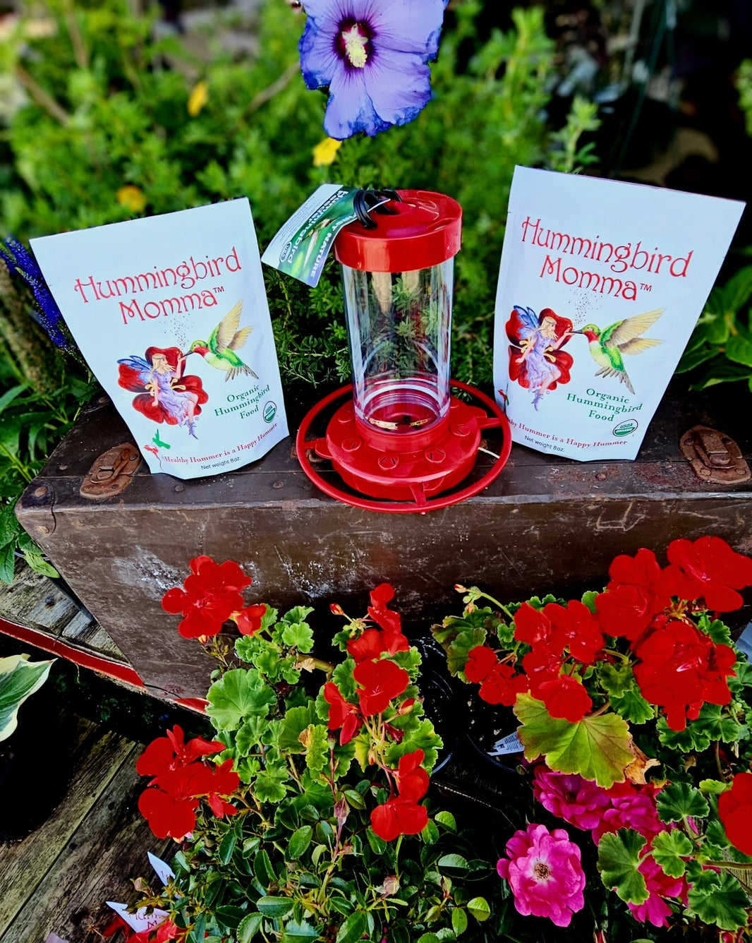 Hummingbird Momma's Premium Organic Hummingbird Food